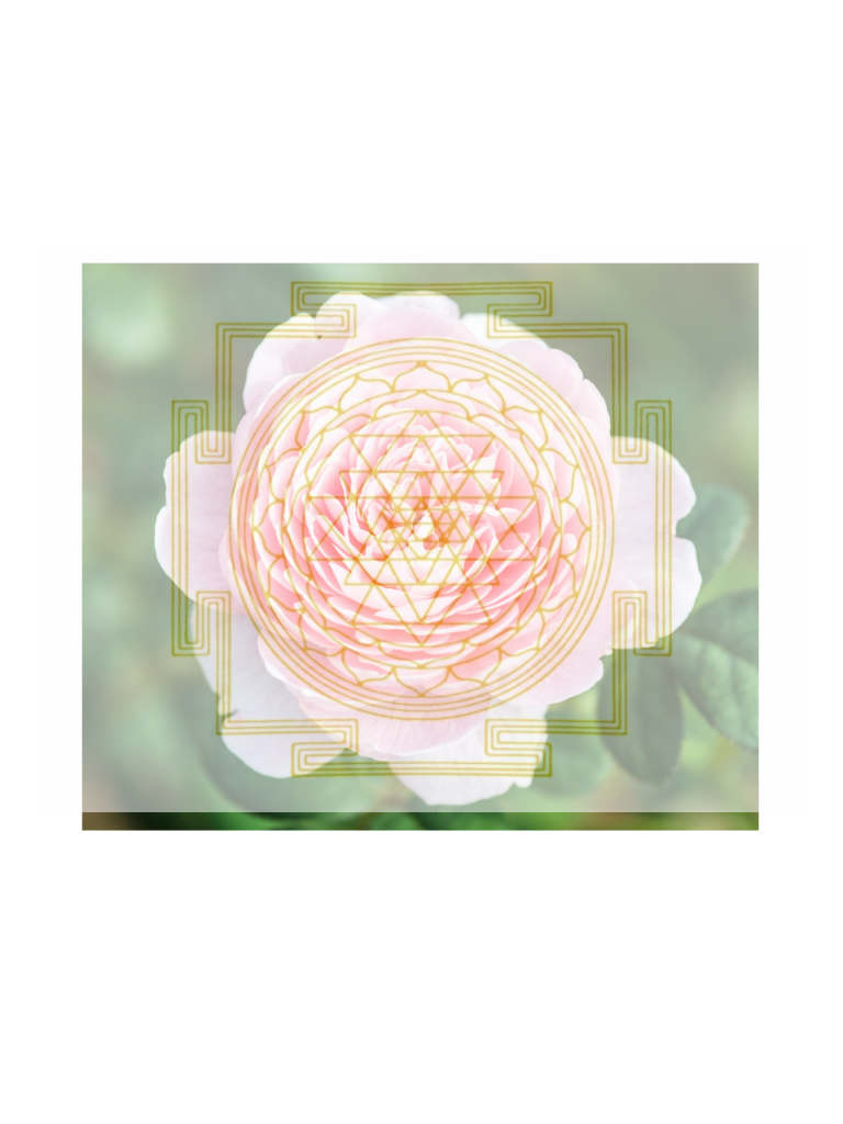 Golden Womb Meditation activation for Shame, trauma, abuse,unworthiness ...